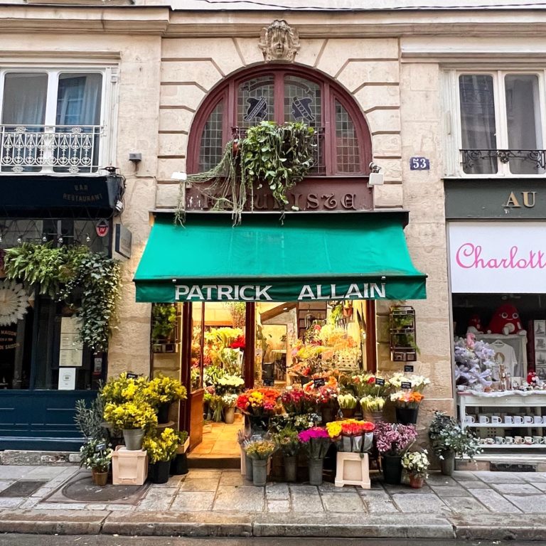 Mimosa: The Signature Bloom of Paris in January - Paris For Dreamers