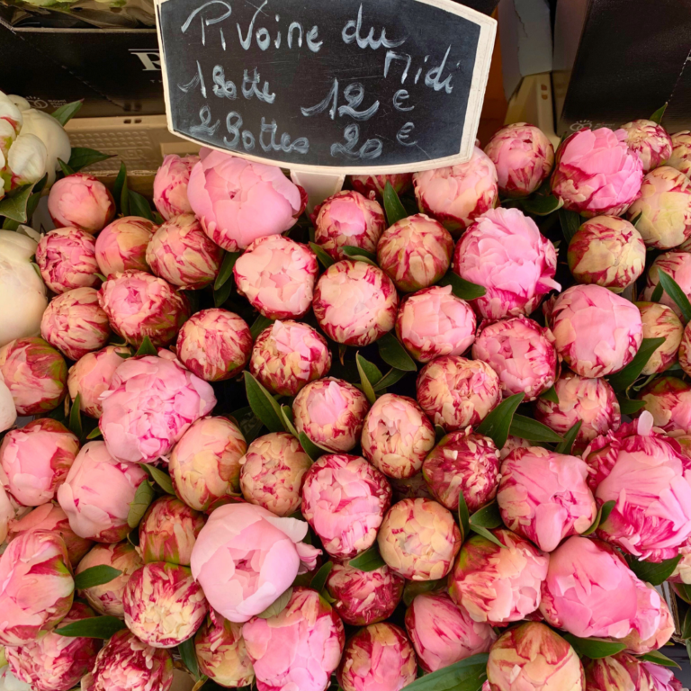An Ode to the Parisian Peony - Paris For Dreamers