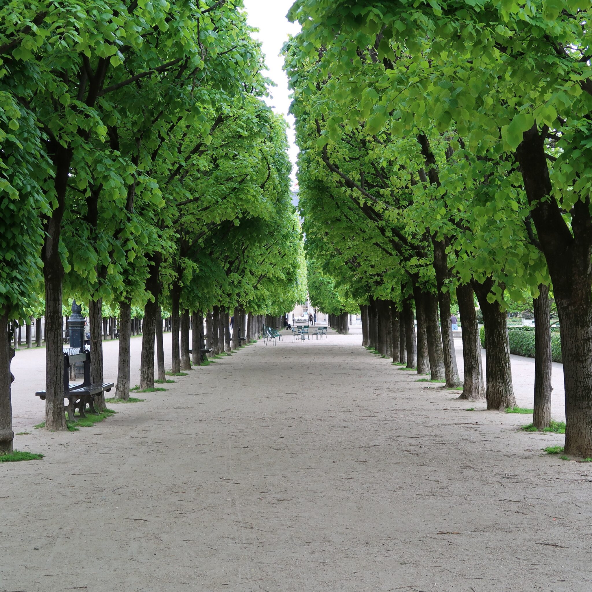 Paris For Dreamers - Inspiring Your Dream Parisian Experience